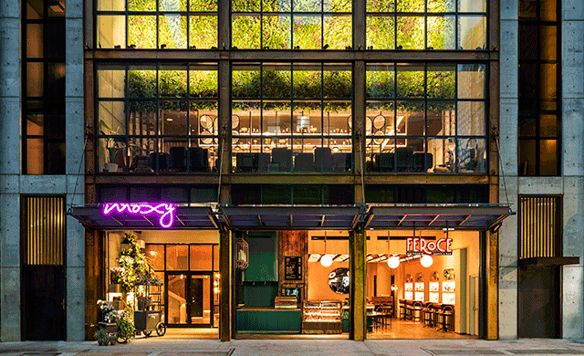 Brand Identity: Moxy | Hospitality Design